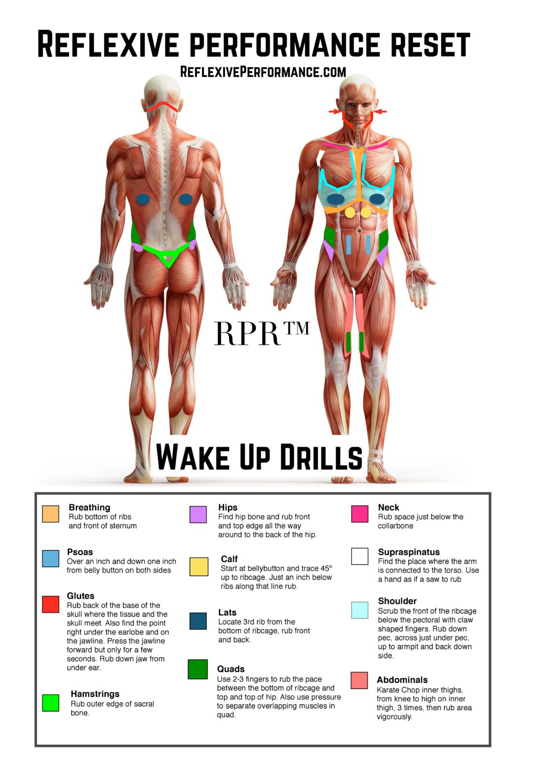 淺談RPR (Reflexive performance reset) ──喚醒身體的運動表現潛力 - 螺旋肌力體能學院 Spiraling ...